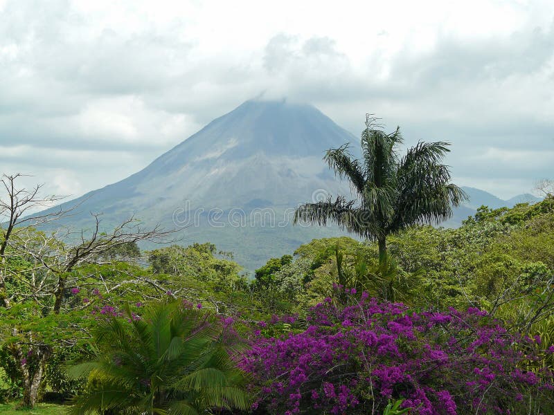 Arenal Volcano stock photo. Image of trees, flowers, rica - 4846678