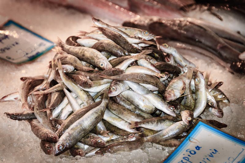 Arenques Frescos En La Parada De Un Pescadero Imagen de archivo ...