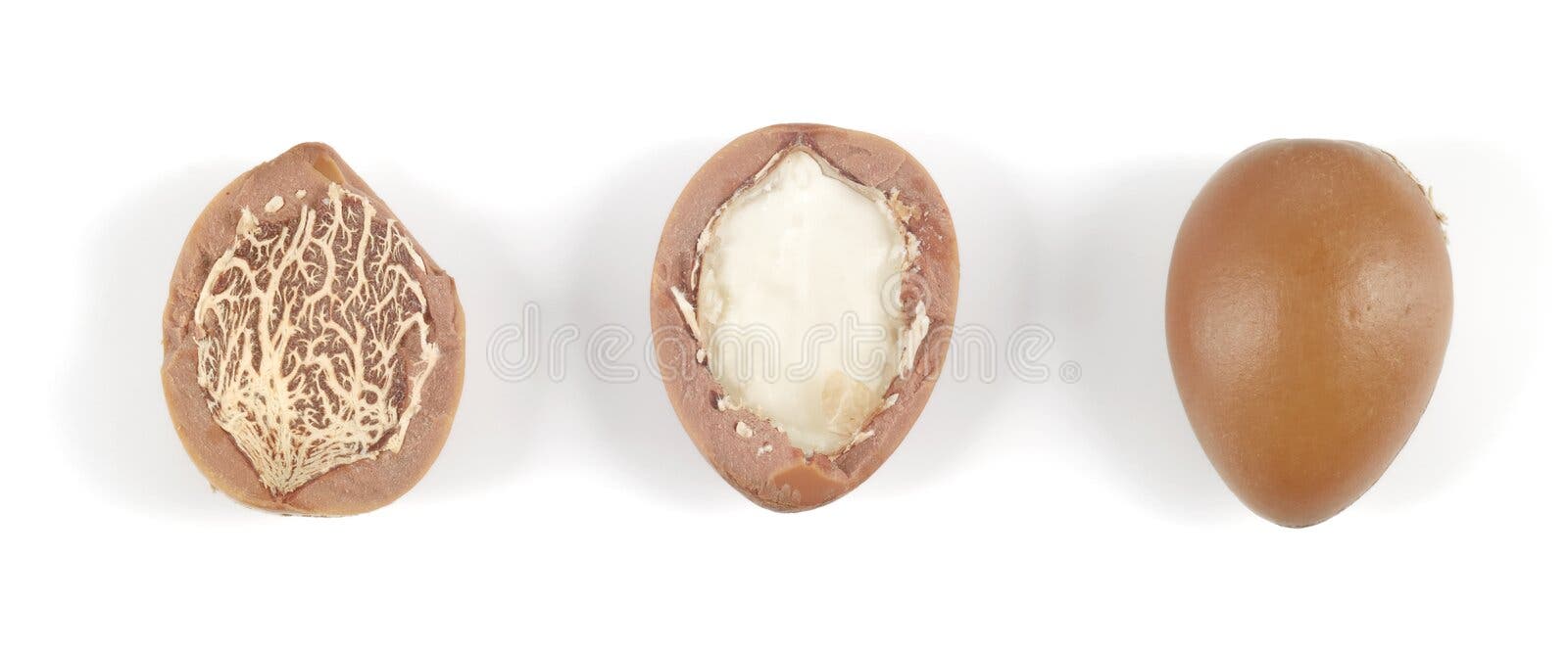 Argan Oil and Argan Nuts on White Background. Stock Photo - Image of ...