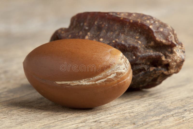 Argan oil and nuts stock image. Image of medicine, plant - 33263703