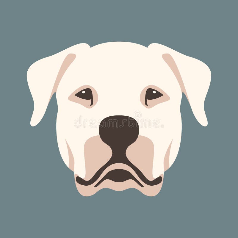 Argentine Dog Face Vector Illustration Line Drawing Stock Vector ... Argentine Dog Face Vector Illustration Line Drawing Stock Vector ...
