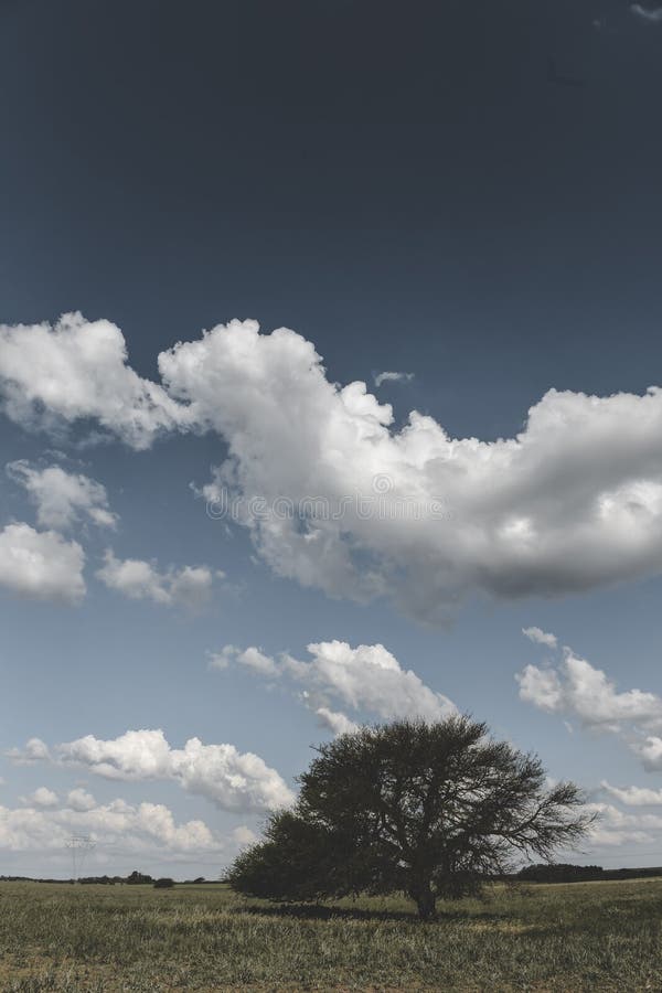 Landscape, with cloudy sky stock photo. Image of clouds - 161811864