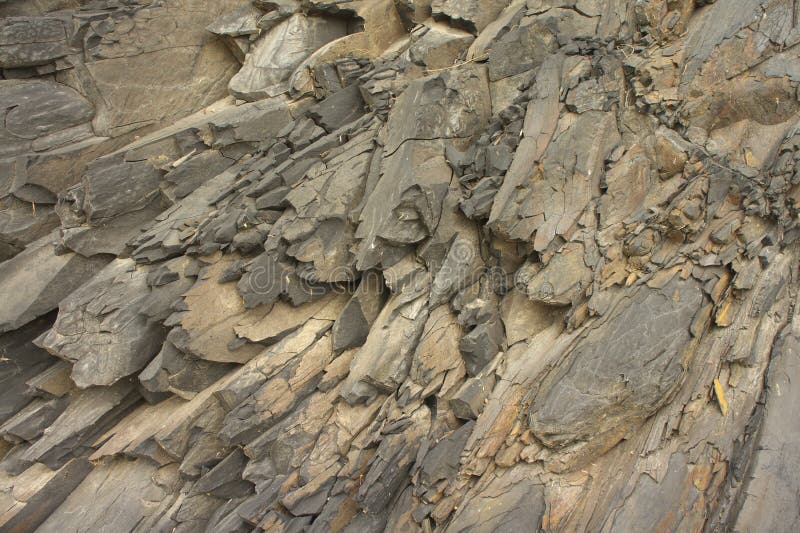 Argillite Immagine. Immagine: 20761701