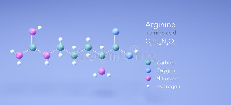 Arginine Amino Acid Molecular Structures 3d Model Structural