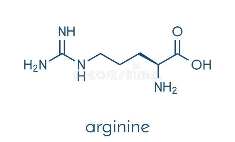 Arginine (L-arginine, Arg, R) Amino Acid Molecule Stock Illustration ...