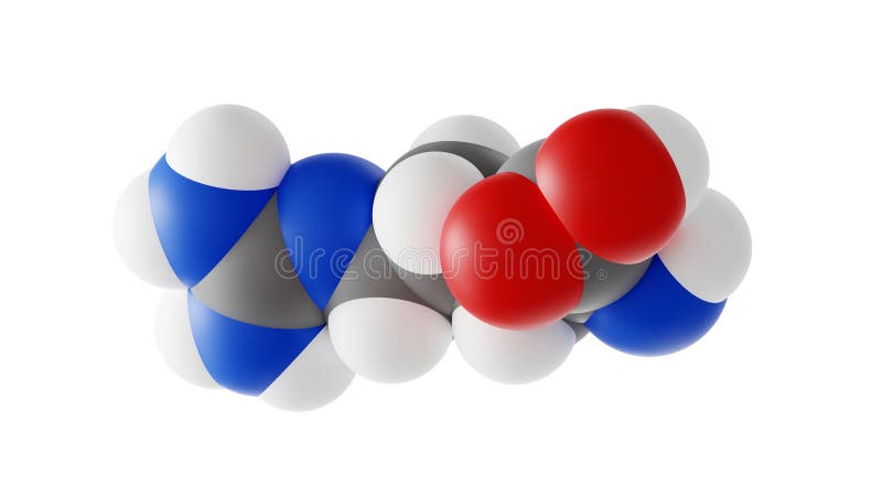 Arginine Molecule, Amino Acid Molecular Structure, Isolated 3d Model ...