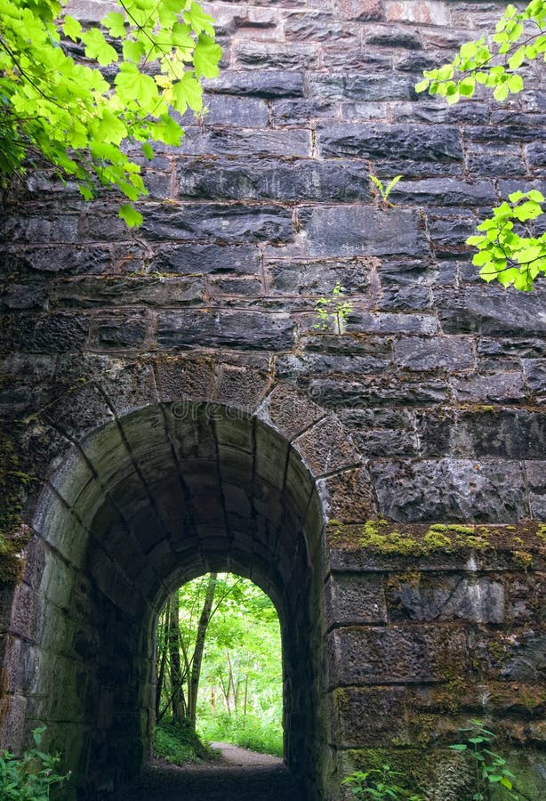 Argyll Forest Park, Scotland Stock Photo - Image of green, scottish ... Argyll Forest Park, Scotland Stock Photo - Image of green, scottish ...