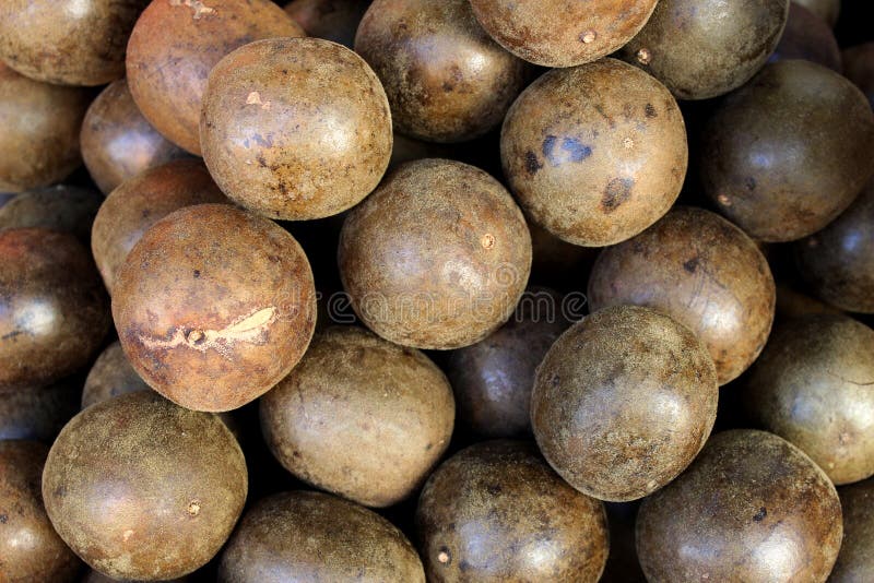 Arhat Fruit-Buddha Fruit-Monk Fruit-Longevity Fruit Stock Image - Image ...