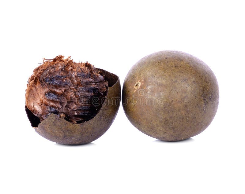 Tea from Arhat Fruit, Buddha Fruit, Monk Fruit,longevity Fruit Stock ...