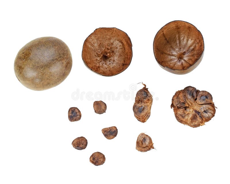 Arhat Fruit-Buddha Fruit-Monk Fruit-Longevity Fruit Stock Image - Image ...