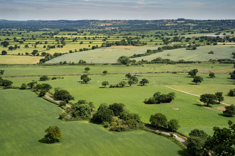 Arial Shot of the Green Fields Surrounded by Trees and Bushes Stock ...