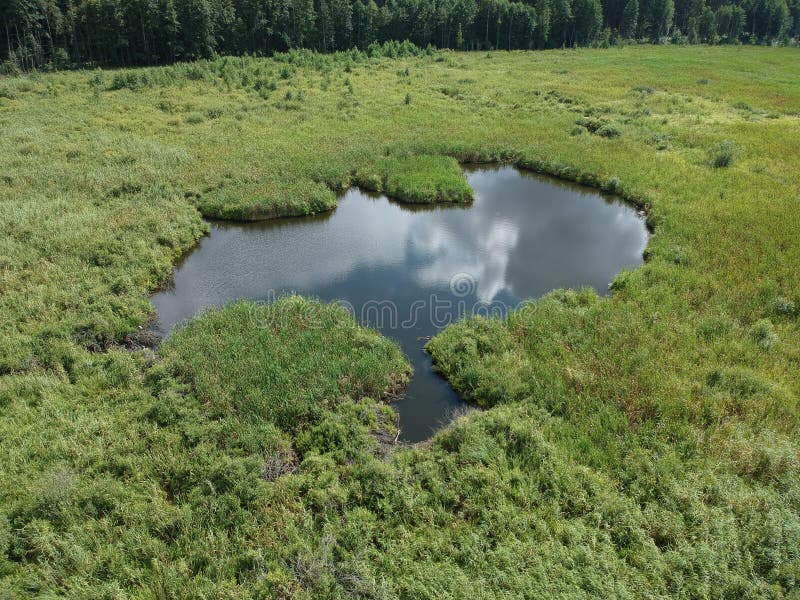 Arial View Over the Small Lake in the Swamp Stock Photo - Image of ...