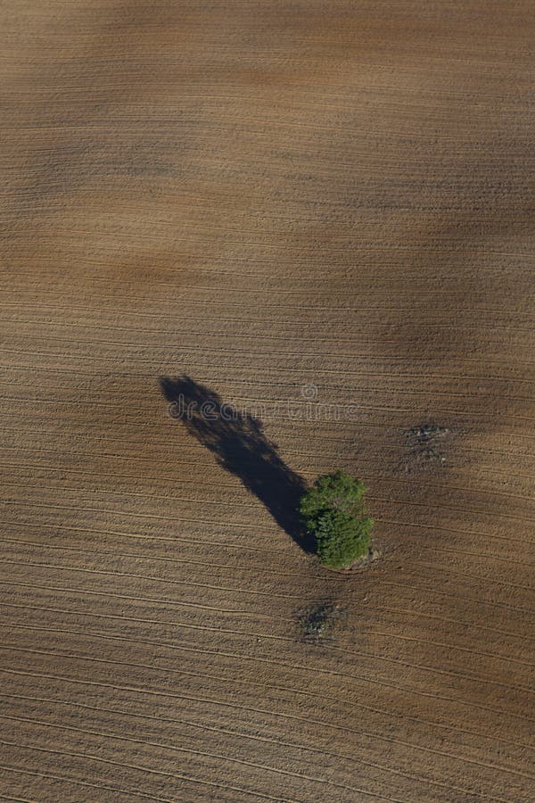 Arial view of Karail slum stock image. Image of dhaka - 183681931