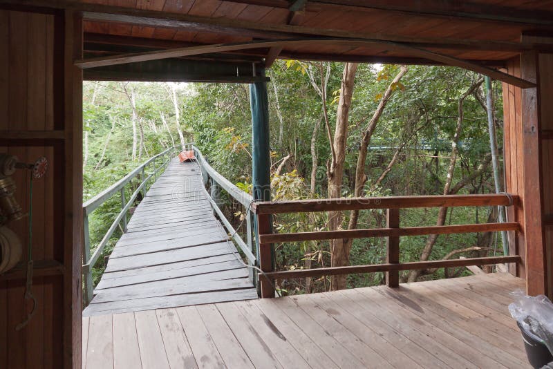 Ariau Amazon Towers Hotel Manaus Brazil Editorial Stock Photo - Image ...