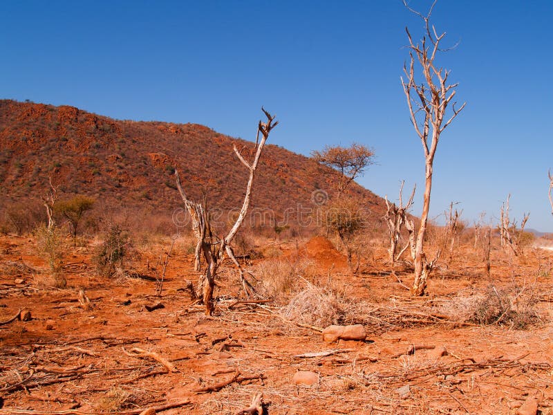 Arid African Landscape. stock photo. Image of horizontal - 9099128