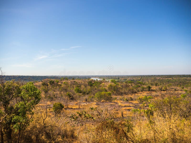 Arid Climate Forest in Thailand Stock Image - Image of river, heat ...