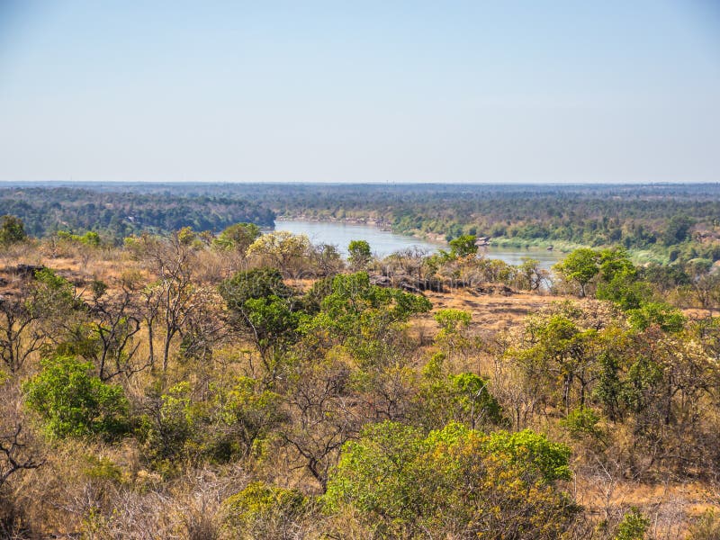 Arid Climate Forest in Thailand Stock Image - Image of river, heat ...