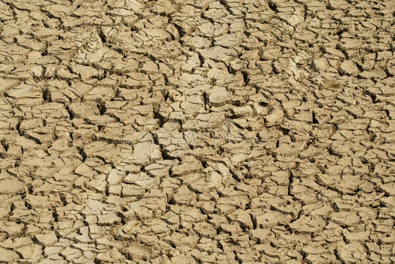 Parched land stock photo. Image of ground, open, soil - 243990226