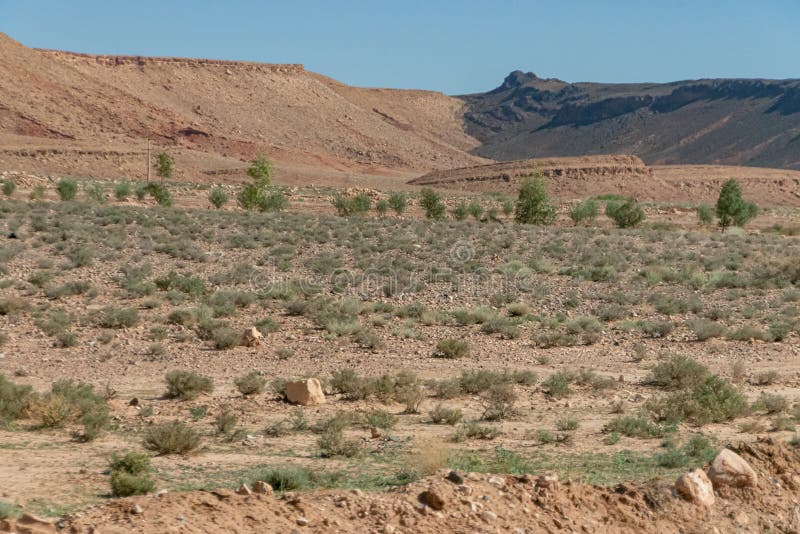 Arid and Desert Area with Desert Vegetation in Morocco Stock Image ...