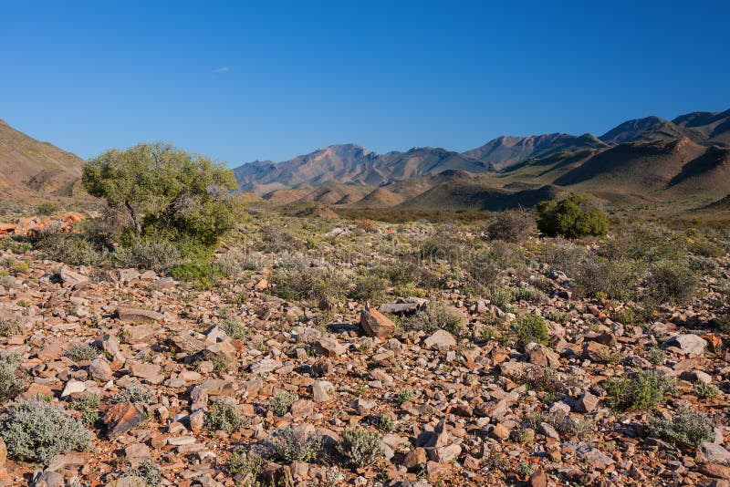 Semi-desert Region with Mountains and Blue Sky Stock Photo - Image of ...