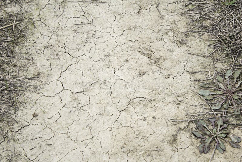 Arid dry field stock image. Image of environment, concept - 67332543