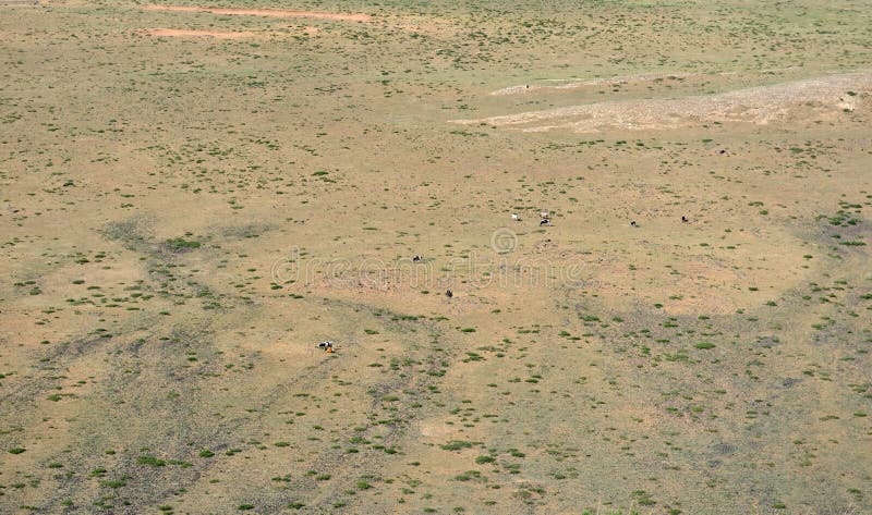 Arid grassland stock photo. Image of green, marginal - 73672370