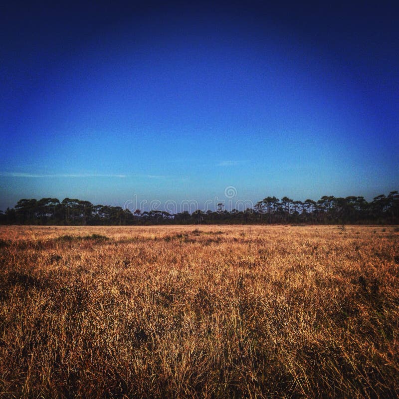 Arid grasslands stock image. Image of agriculture, natural - 58051657