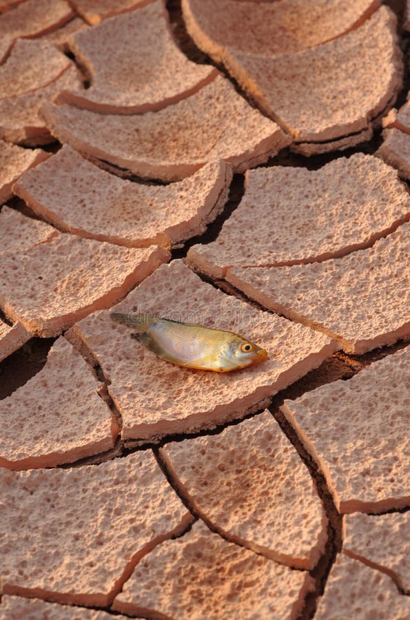 Arid lands stock photo. Image of dehydrated, concept - 12119050