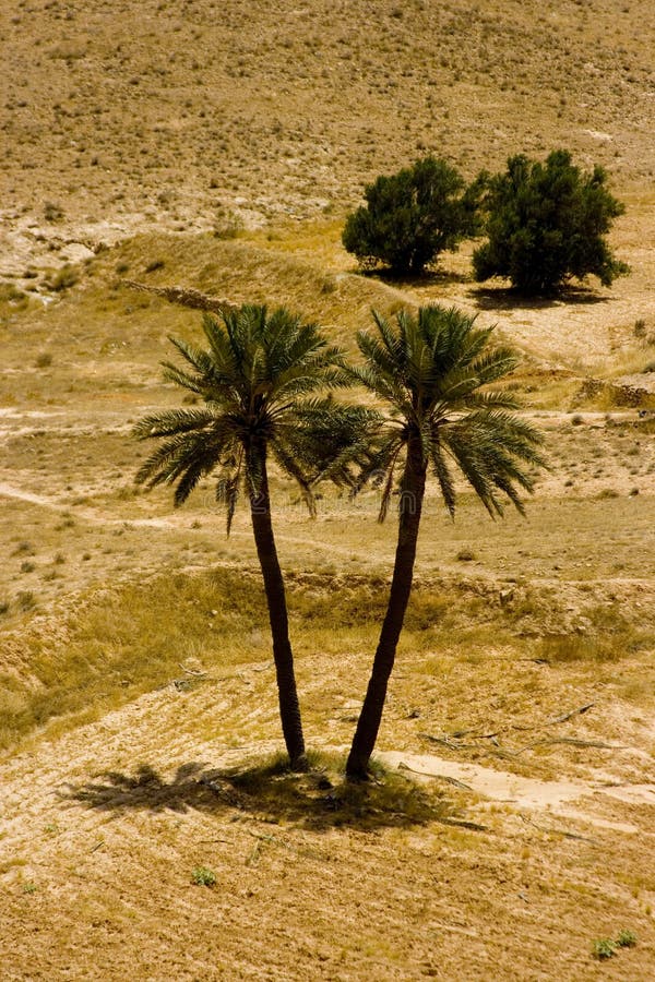 Arid Landscape Picture. Image: 3274959
