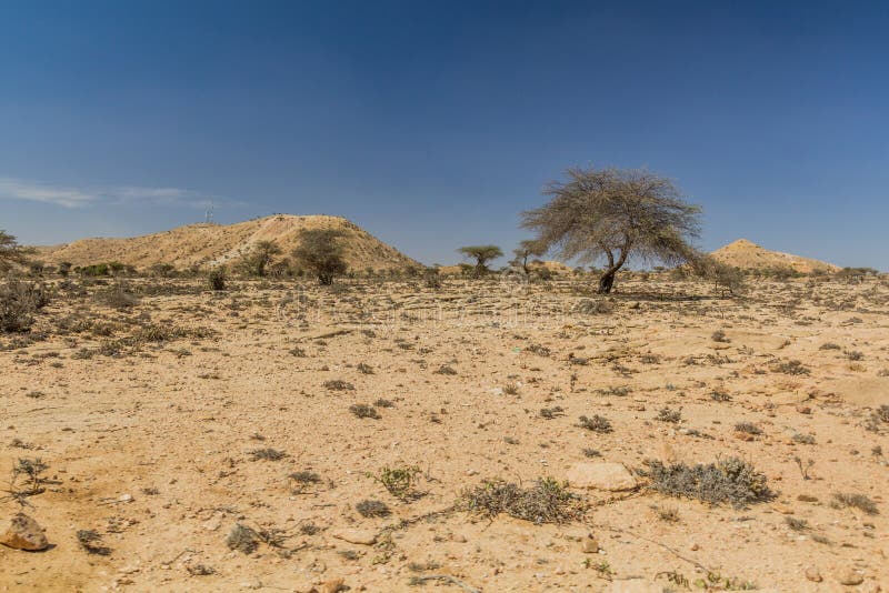 Arid Landscape of Central Somalila Stock Image - Image of scenery ...