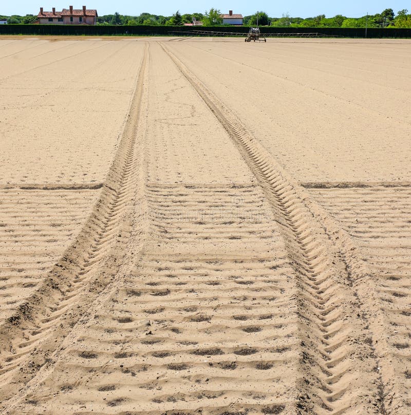 Arid Sandy Soil To Cultivation of Vegetables and Tires Mark Stock Image ...