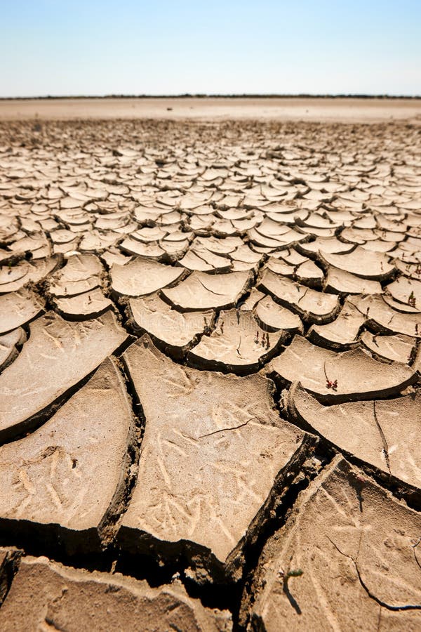 Arid land in the Camargue stock photo. Image of ground - 44215284
