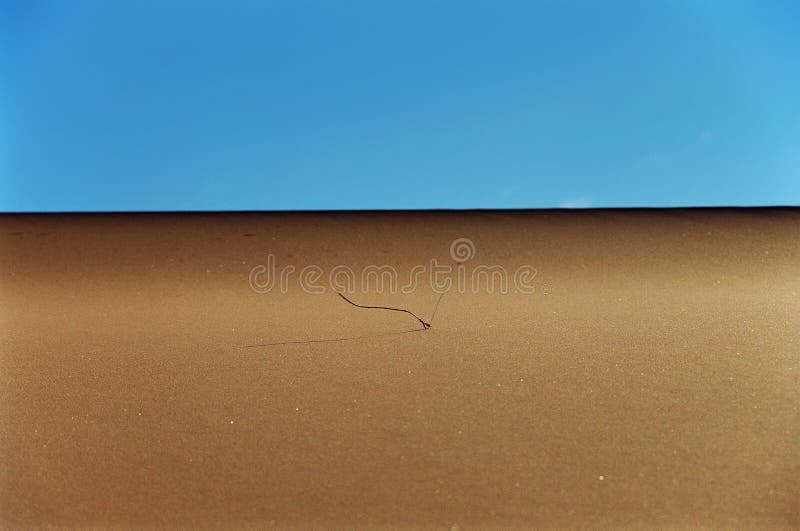 Aridità immagine stock. Immagine di globale, geologia - 22258941