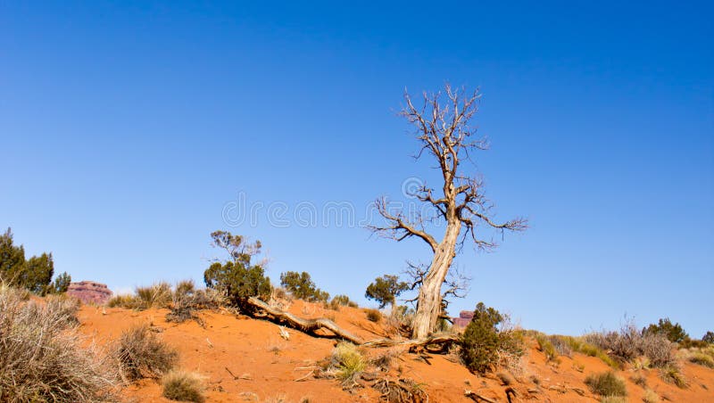 The Pilbara Region of Western Australia Stock Image - Image of growth ...
