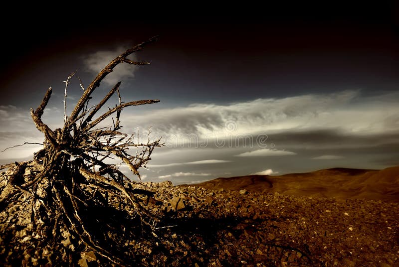 Aridity stock photo. Image of aridity, ecosystem, mountains - 67377346