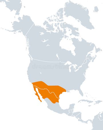 Aridoamerica Map, Ecoregion of Dry and Arid Climate in North America ...