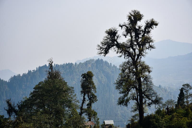 Ariel View , Landscape with Tree, Ridges and Curvy Road Stock Photo ...