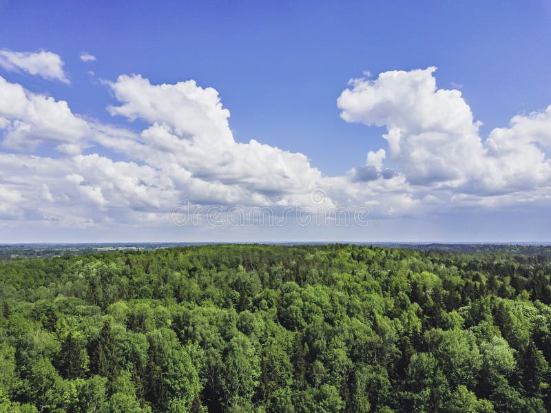 920 Ariel Forest Stock Photos - Free & Royalty-Free Stock Photos from ...