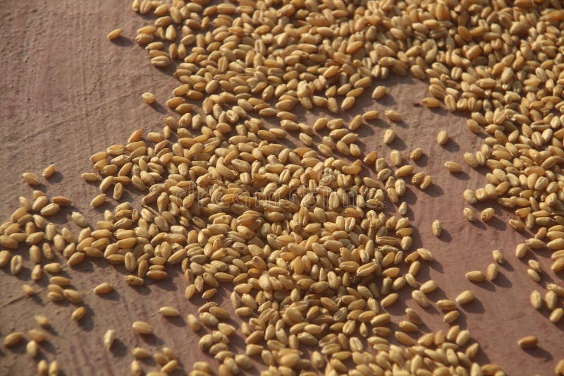 Ariel Ground Texture Stock Photos - Free & Royalty-Free Stock Photos ...