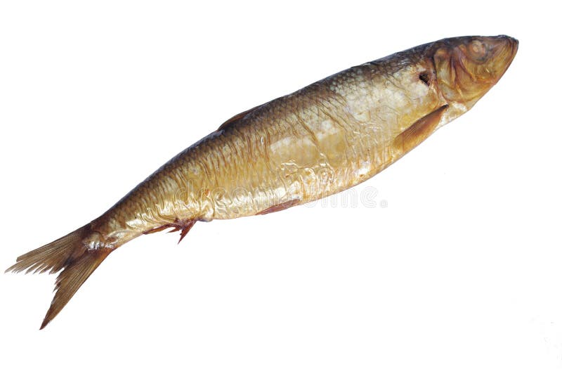 Aringa affumicata immagine stock. Immagine di affumicato - 8289379