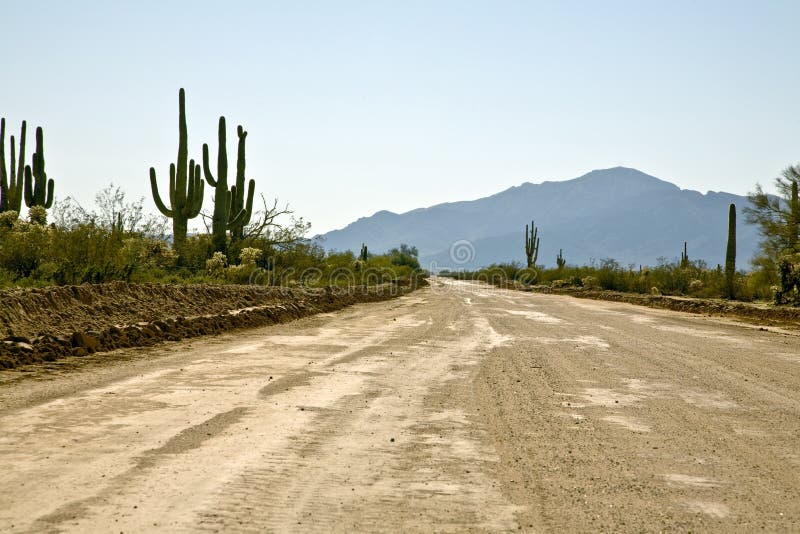 Arizona Backroad stock image. Image of desert, santan - 5448857