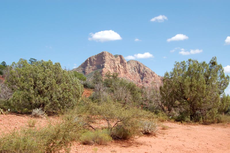 Arizona desert landscape stock photo. Image of expanse - 3934222