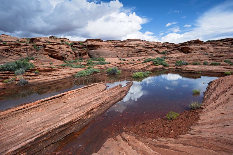 Arizona Desert Pond stock photo. Image of remote, america - 65168564