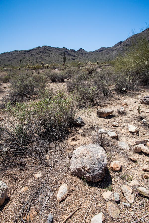 Arizona Desert Scenery stock image. Image of desolate - 24533217