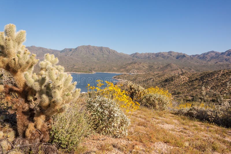Arizona Desert in Springtime Stock Image - Image of desert, landscape ...