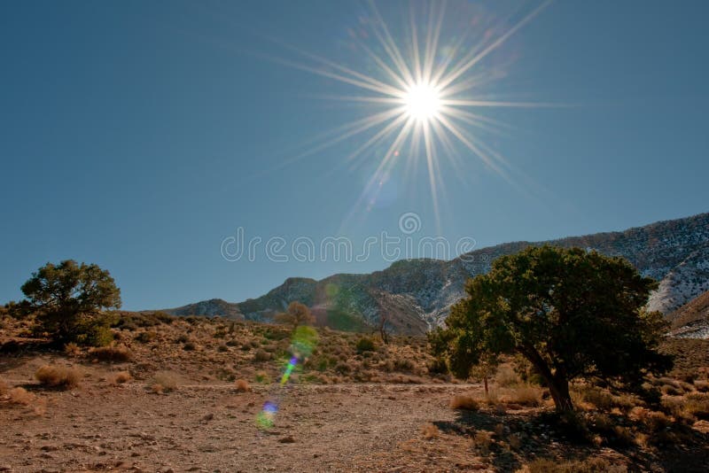 Arizona Desert Sun stock photo. Image of pretty, bright - 9266084