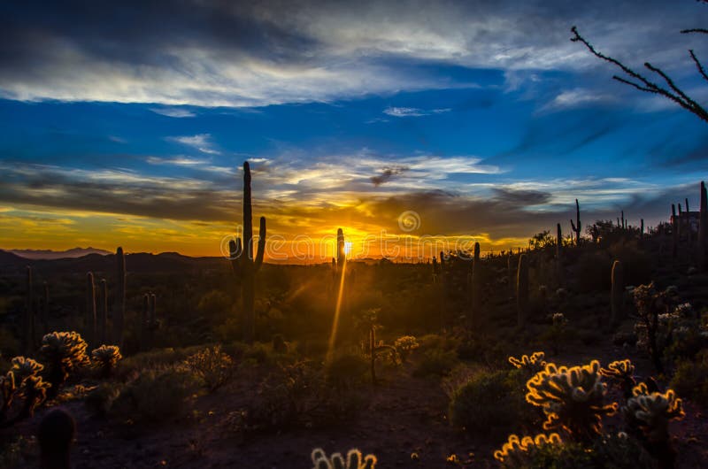 Arizona Desert Sunset stock image. Image of silhouette - 82521825