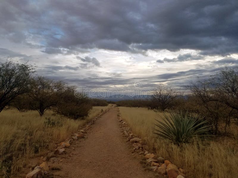 Arizona Desert Under Ominous Sky Stock Photo - Image of cloudy ...