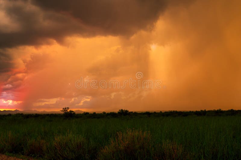 Arizona Grassland with Dramatic Monsoon Sky at Sunset Stock Image ...