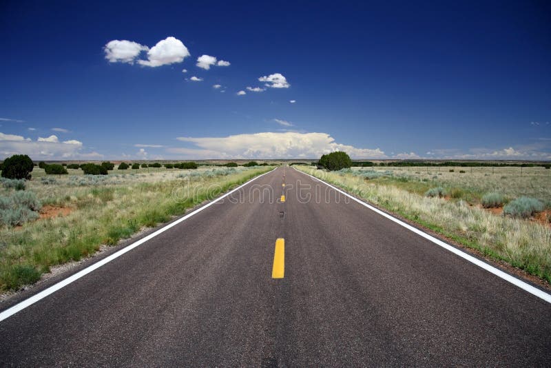 Arizona Highway stock photo. Image of plants, street - 13562490